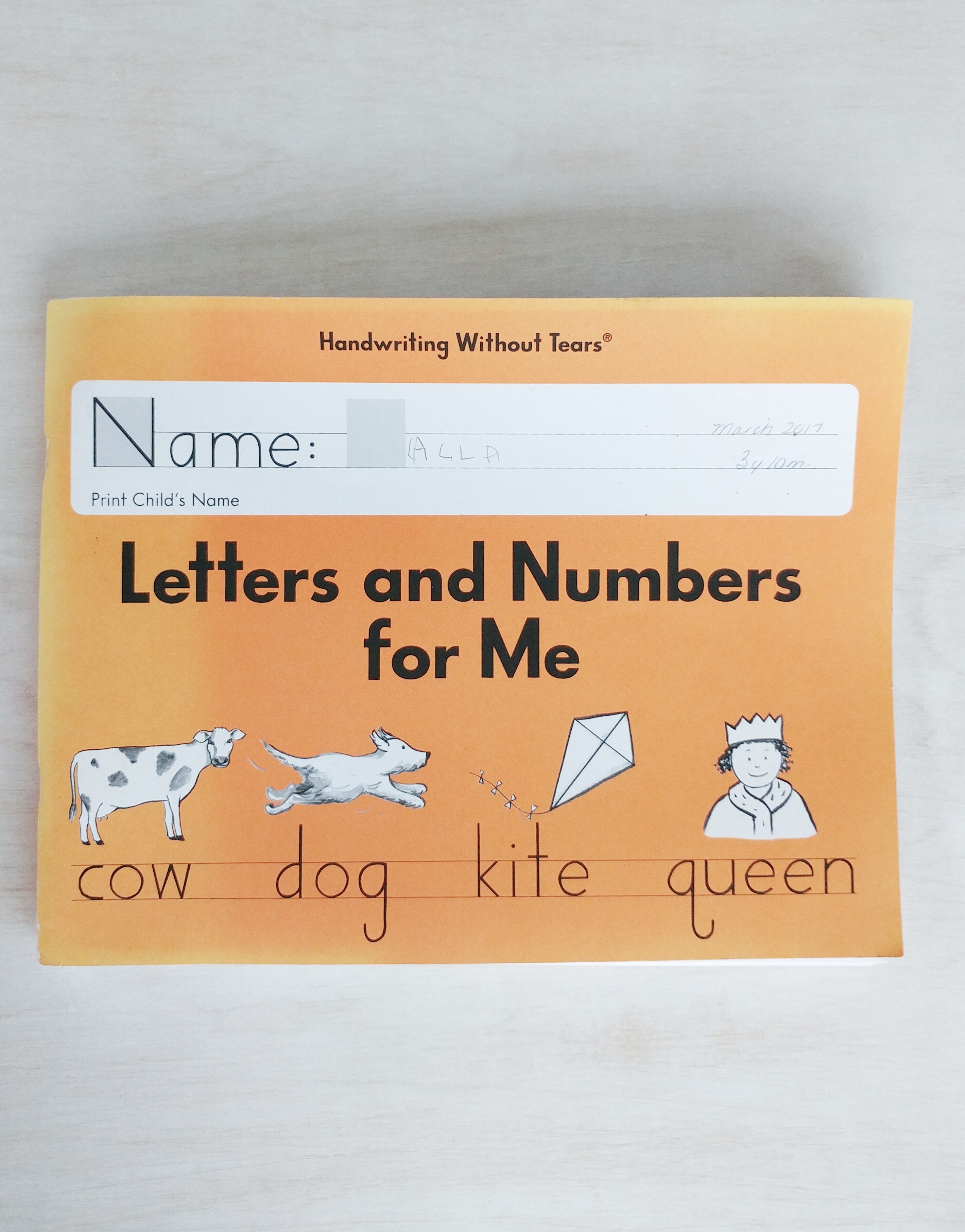 HomeSchool Early Learning - Curriculum Review | Reaching Happy