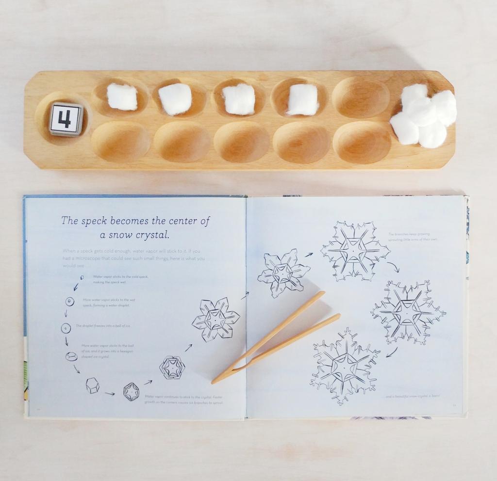 Snowflake unit study with Book and Craft ideas | Reaching Happy