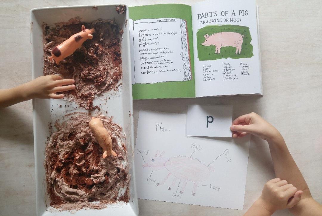 HomeSchool Early Learning - Pig Farm | Reaching Happy