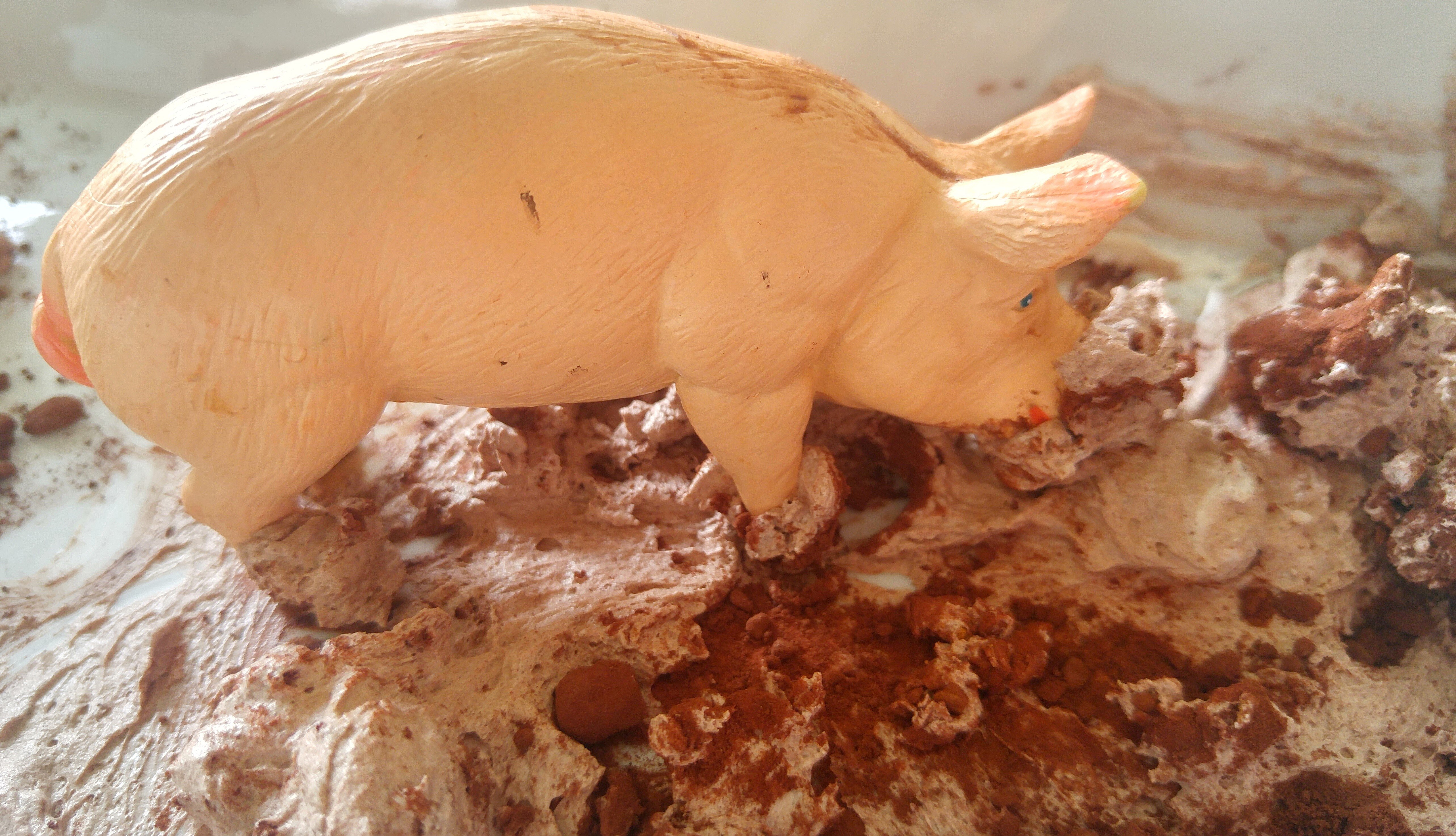 HomeSchool Early Learning - Pig Farm | Reaching Happy