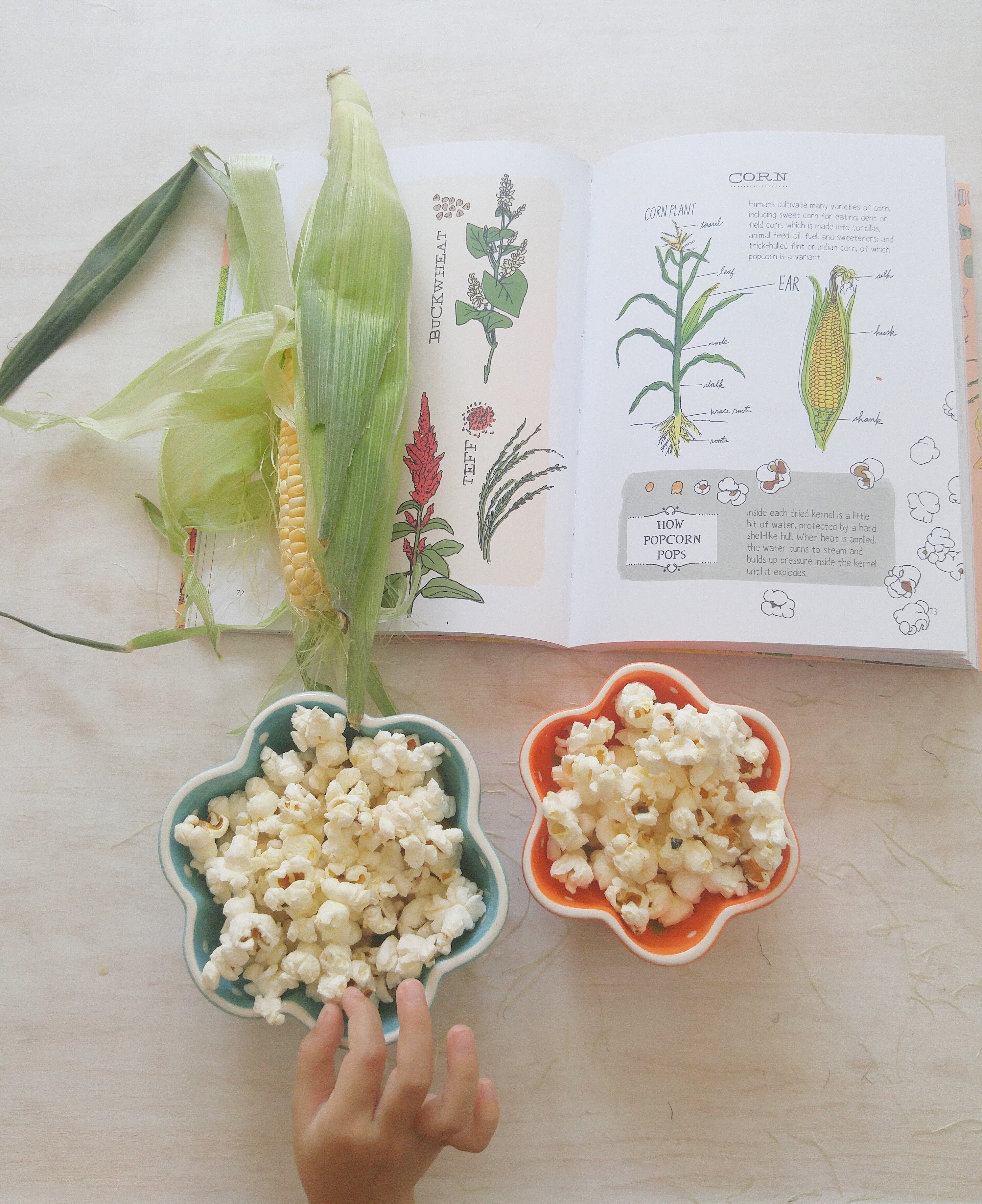 HomeSchool Early Learning - Corn & Popcorn | Reaching Happy