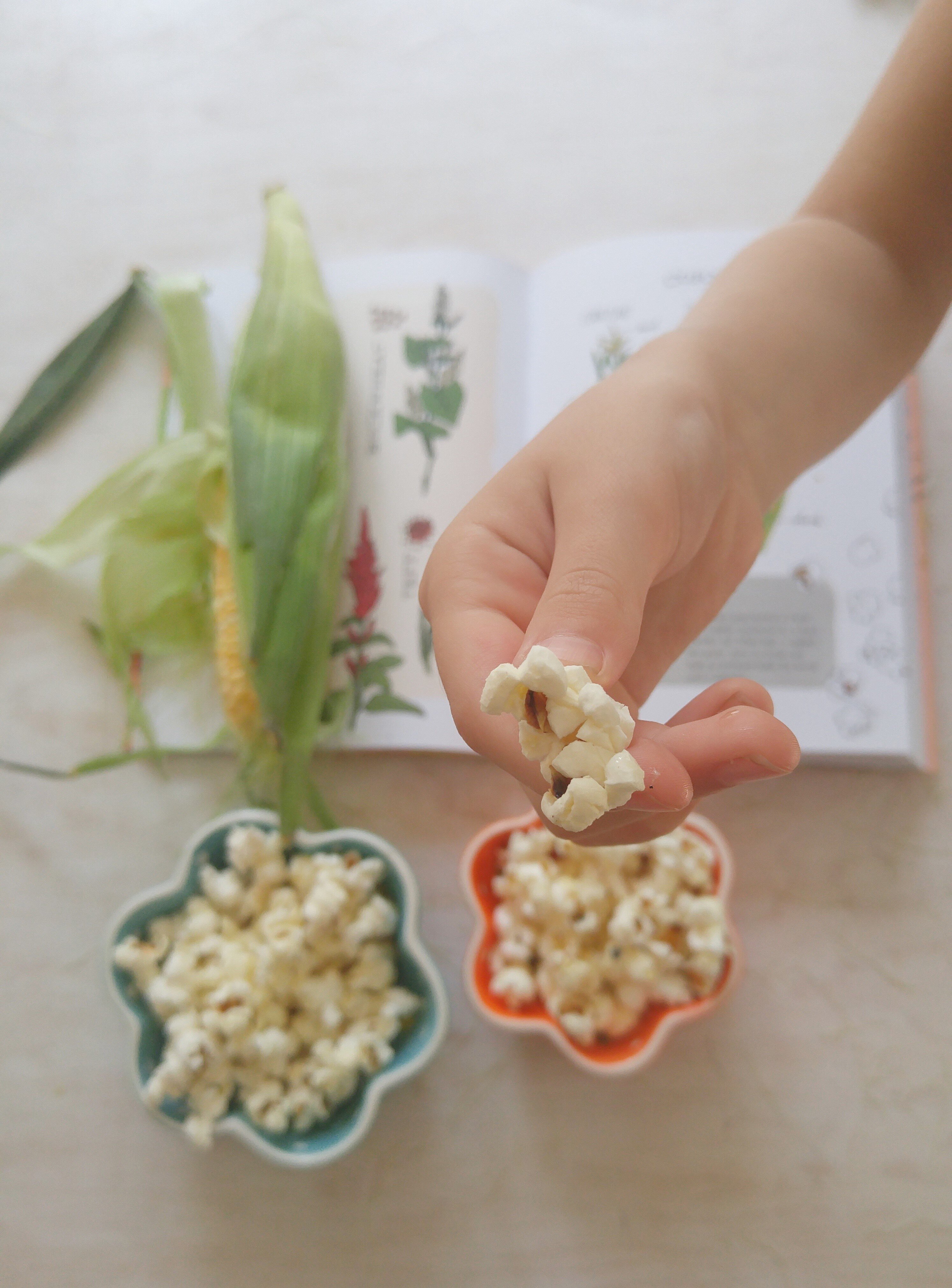 HomeSchool Early Learning - Corn & Popcorn | Reaching Happy