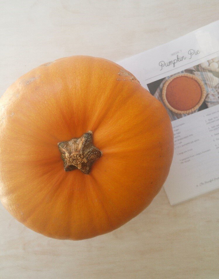 HomeSchool Early Learning - Pumpkins and Pies | Reaching Happy