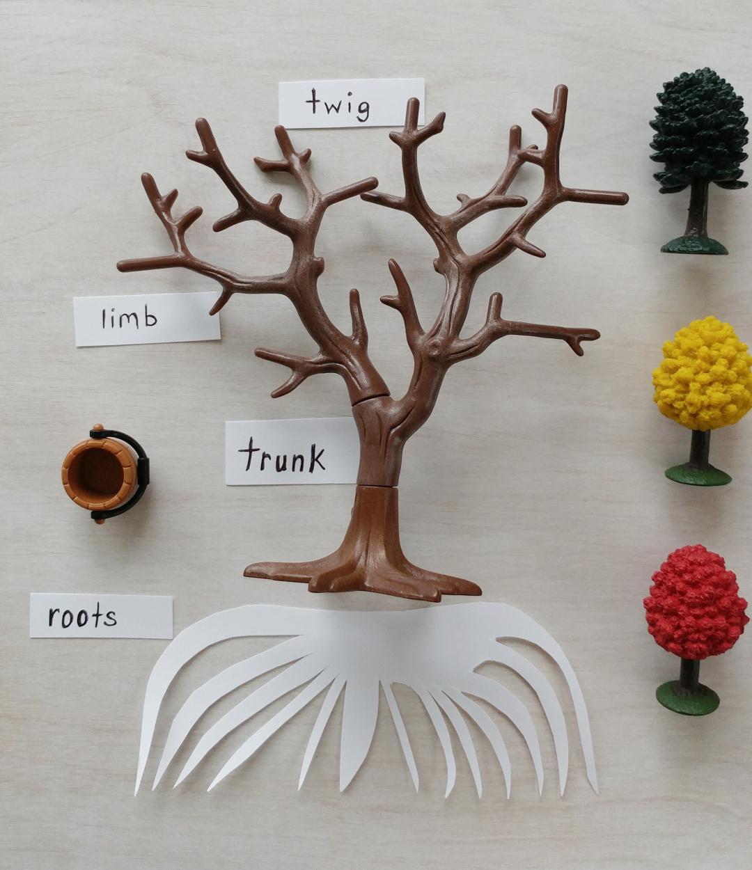 HomeSchool Early Learning Lesson - Trees | Reaching Happy