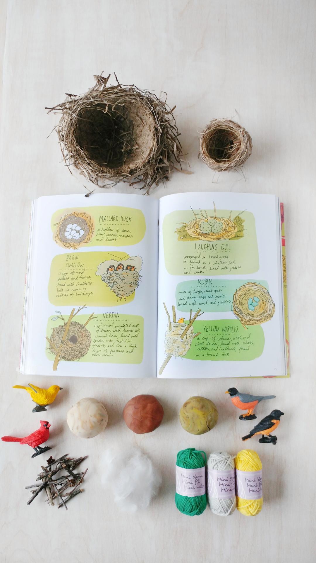 Bird Unit Study with book and activity ideas | Reaching Happy
