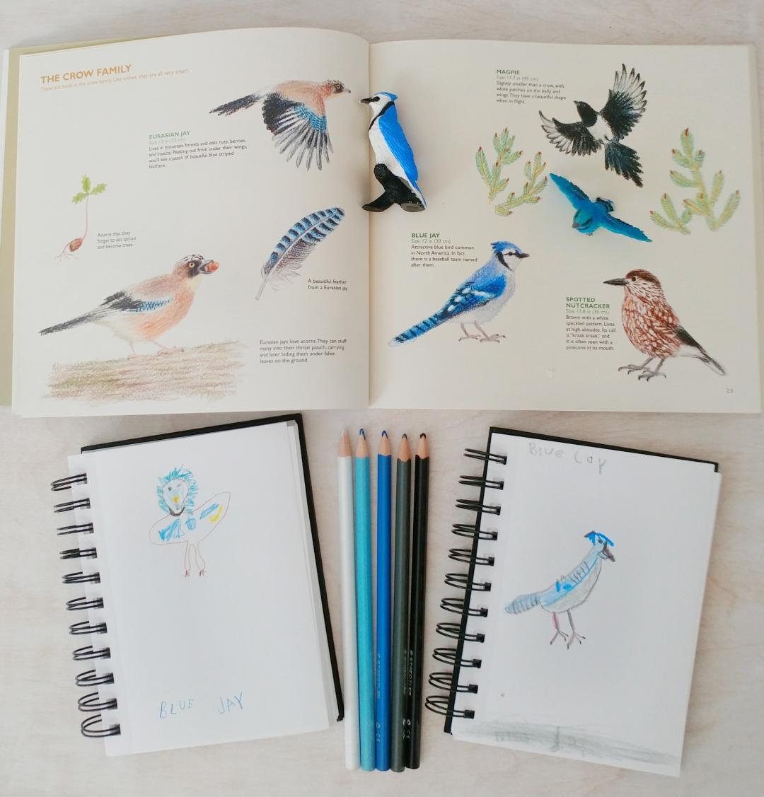 Bird Unit Study with book and activity ideas | Reaching Happy