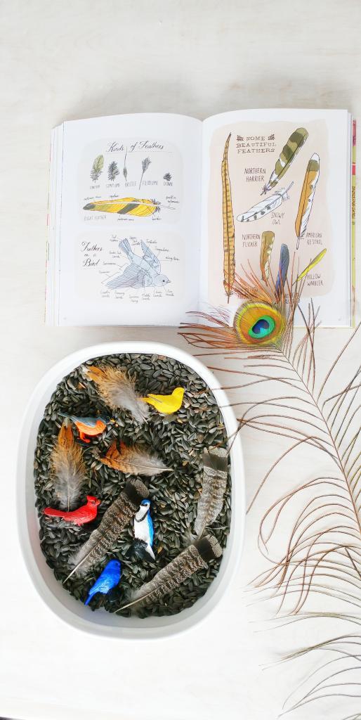 Bird Unit Study with book and activity ideas | Reaching Happy