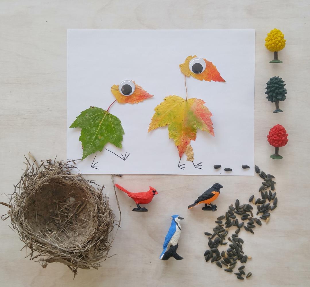 Bird Unit Study with book and activity ideas | Reaching Happy