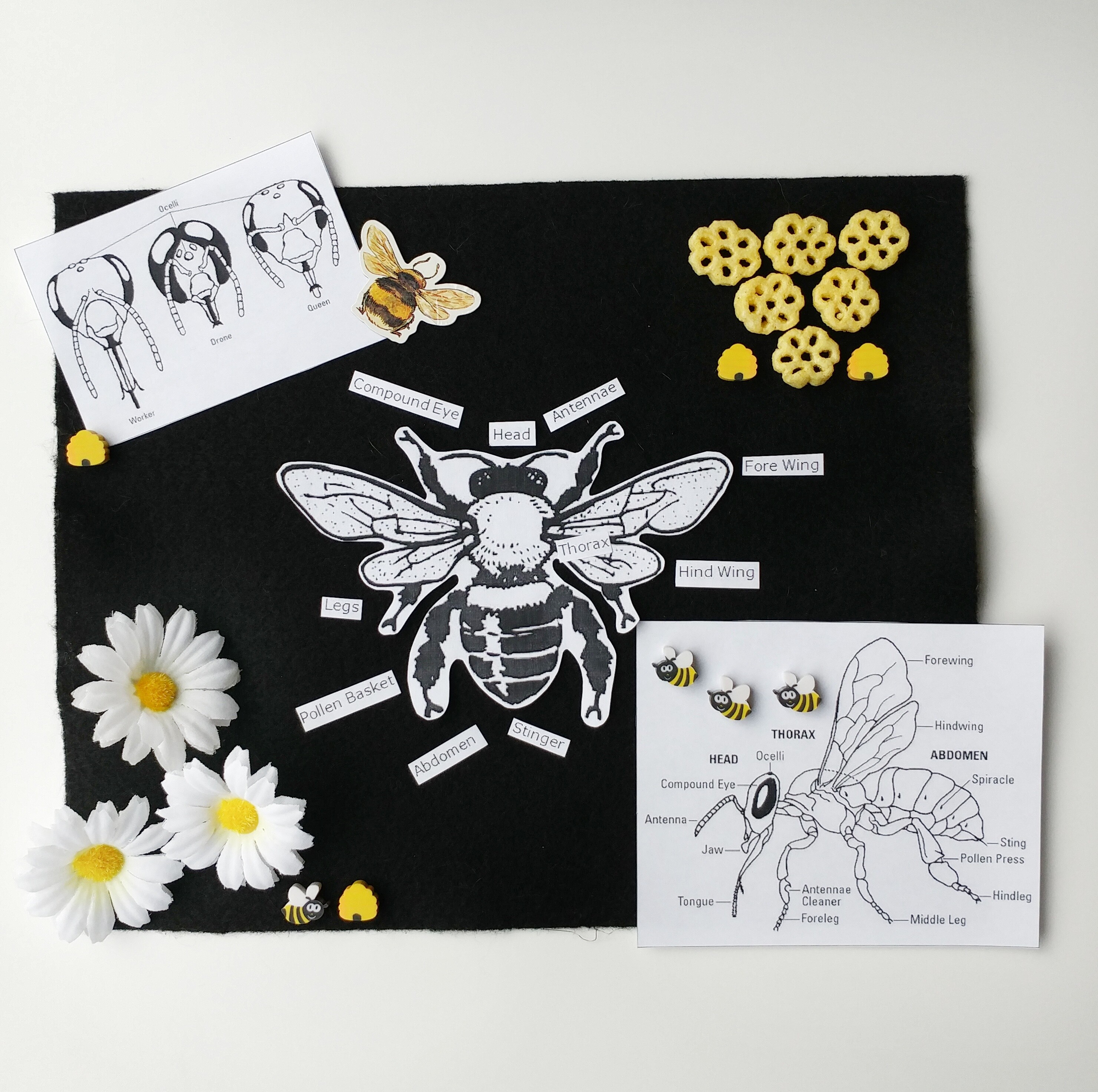 Bee themed activities and books | Reaching Happy