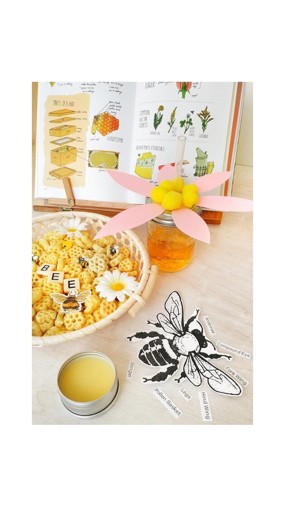 Bee themed activities and books | Reaching Happy