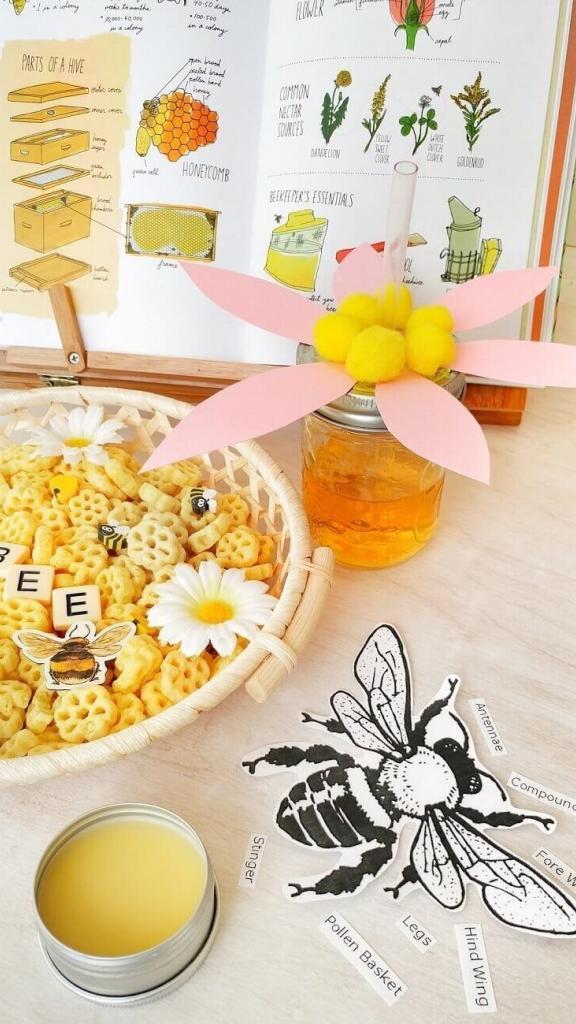 Bee themed activities and books | Reaching Happy