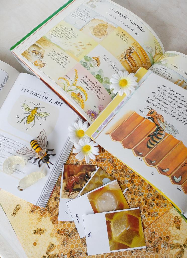 Bee themed activities and books | Reaching Happy