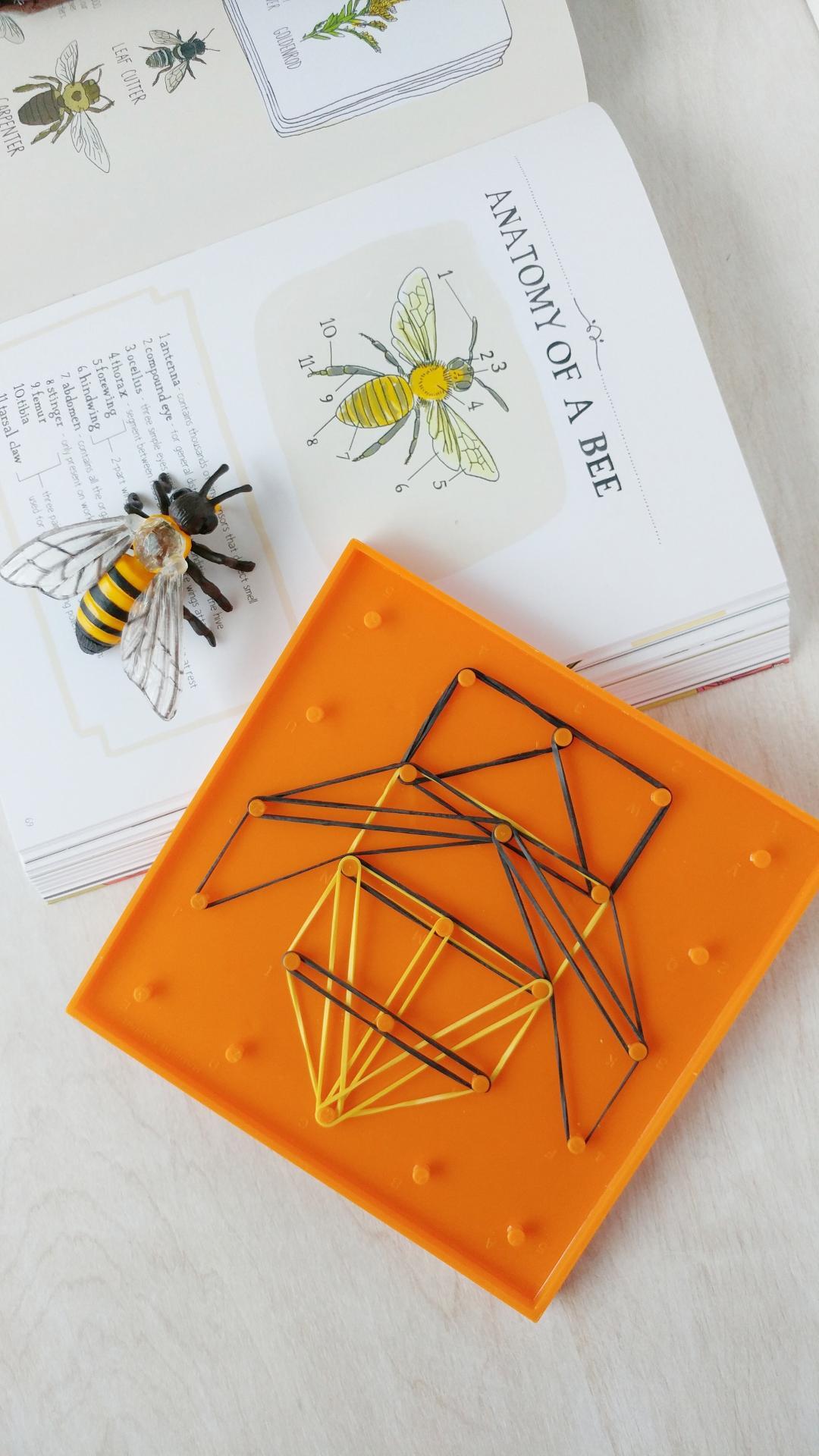 Bee themed activities and books | Reaching Happy