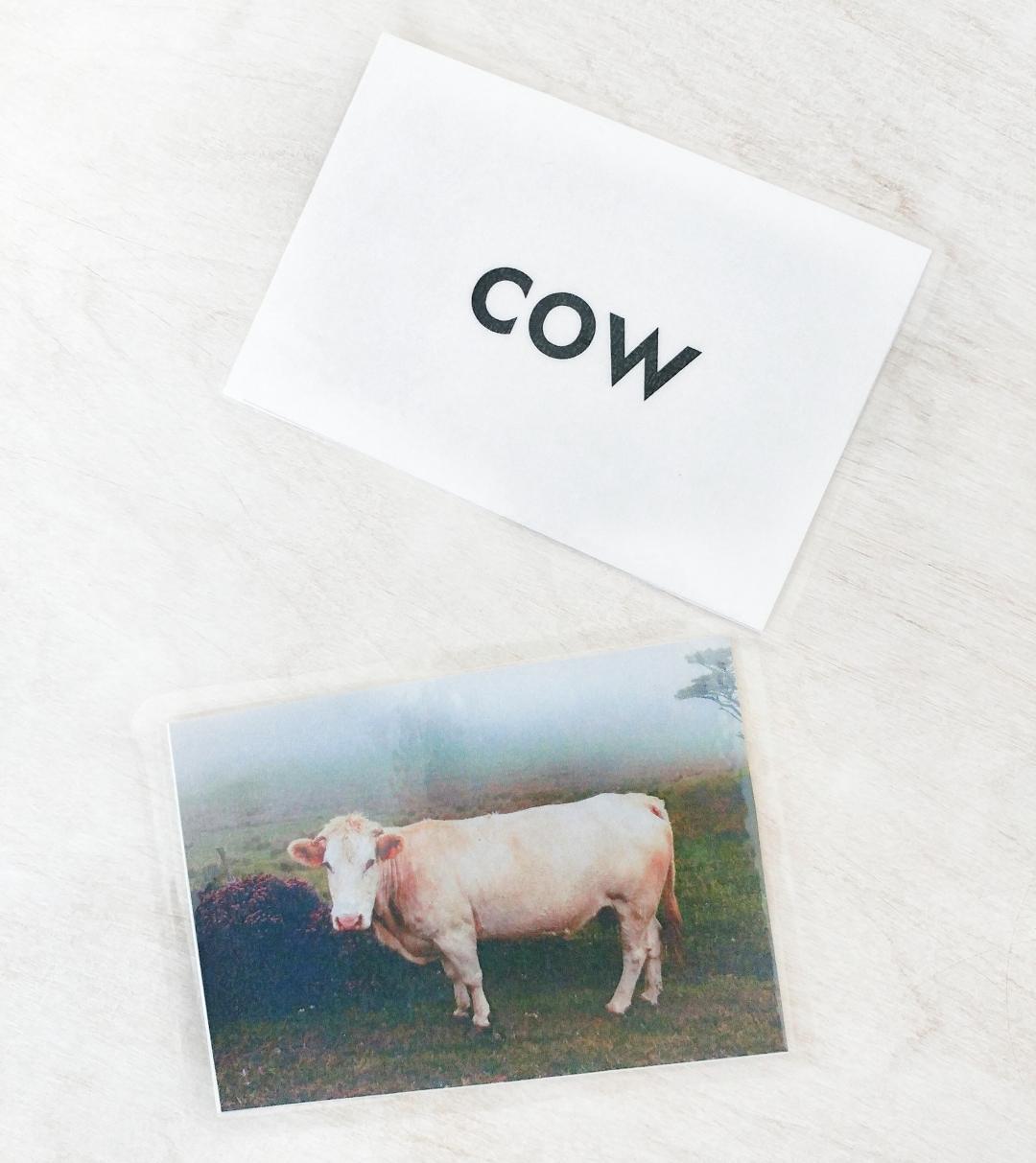 We are sharing our favorite Cow Activities and Crafts | Reaching Happy