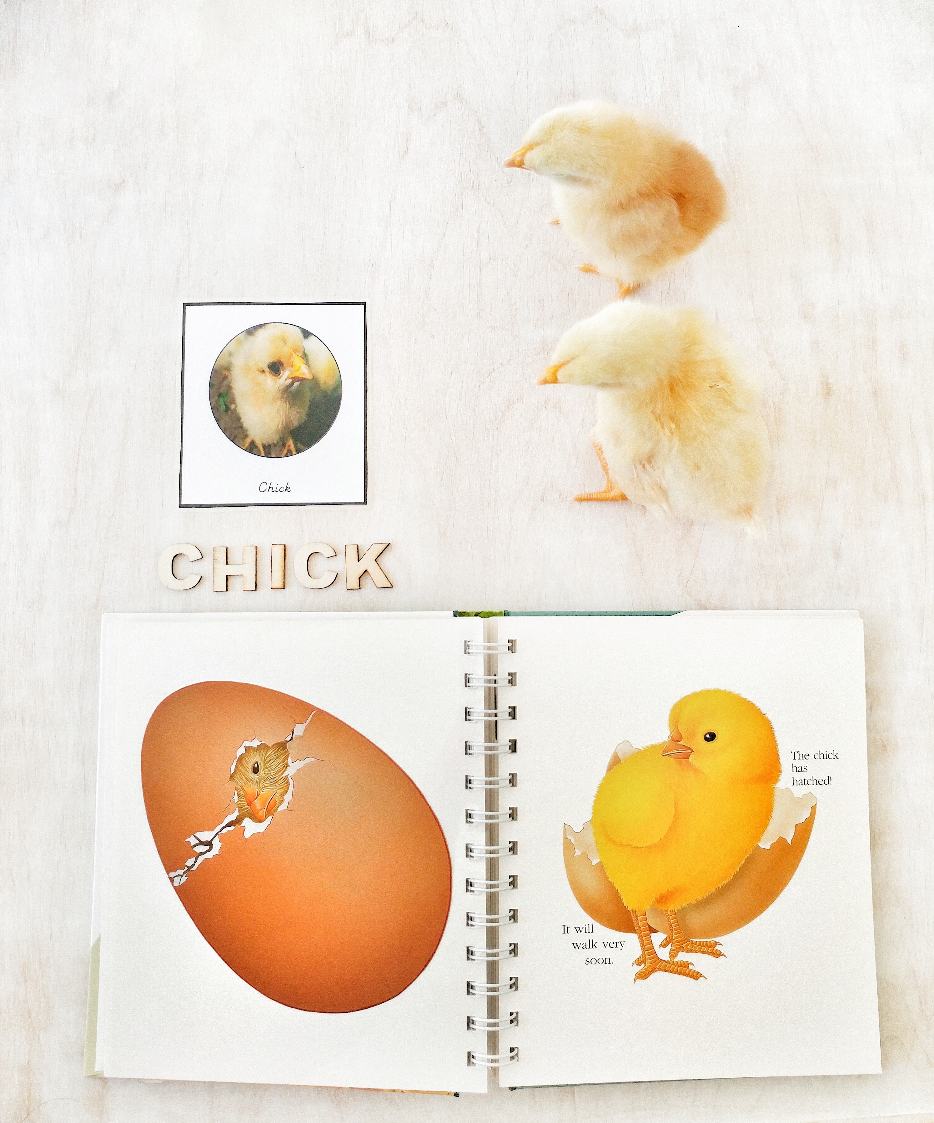 We are sharing our favorite Activities and Crafts to help your kids ...