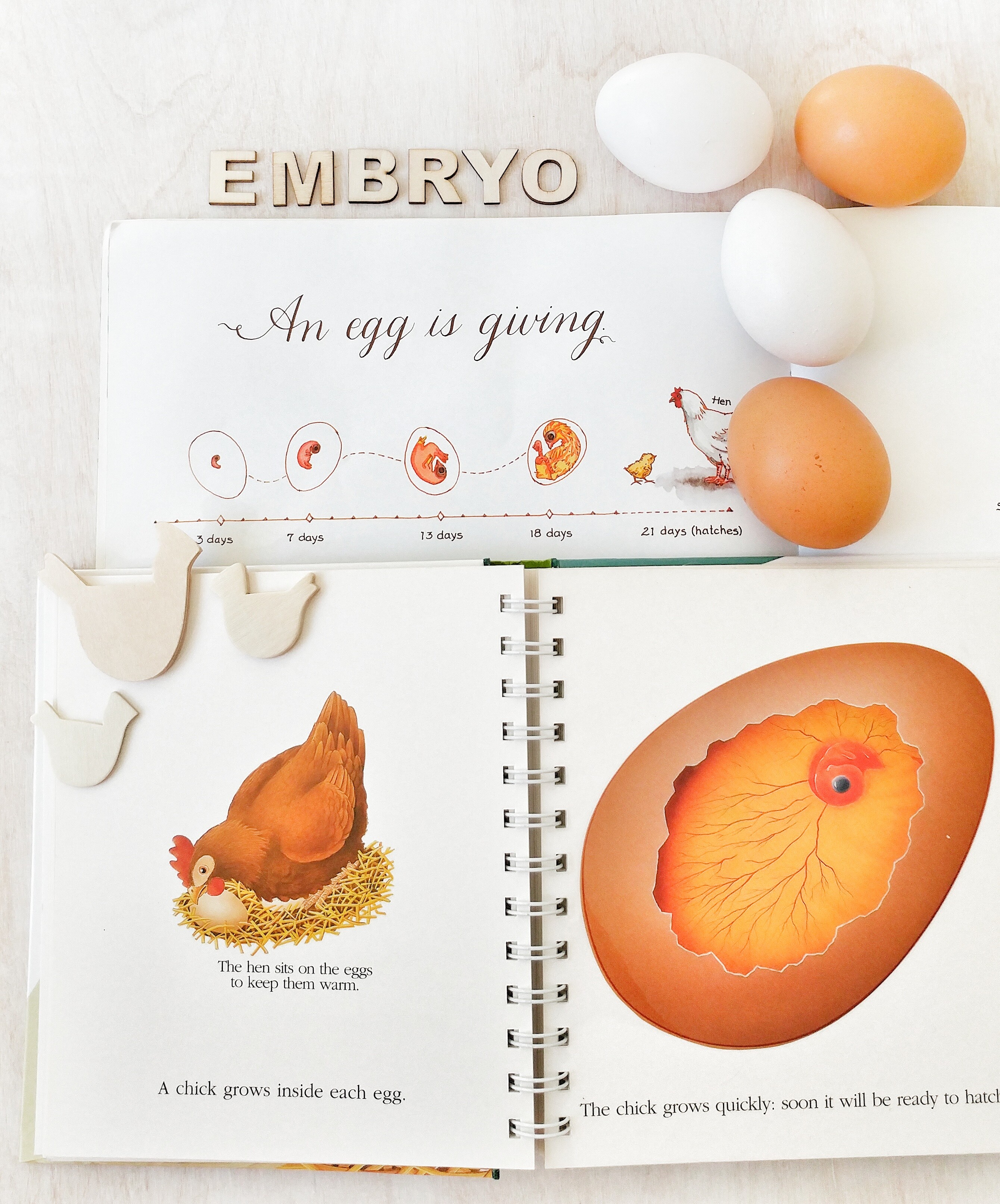 We are sharing our favorite Activities and Crafts to help your kids ...