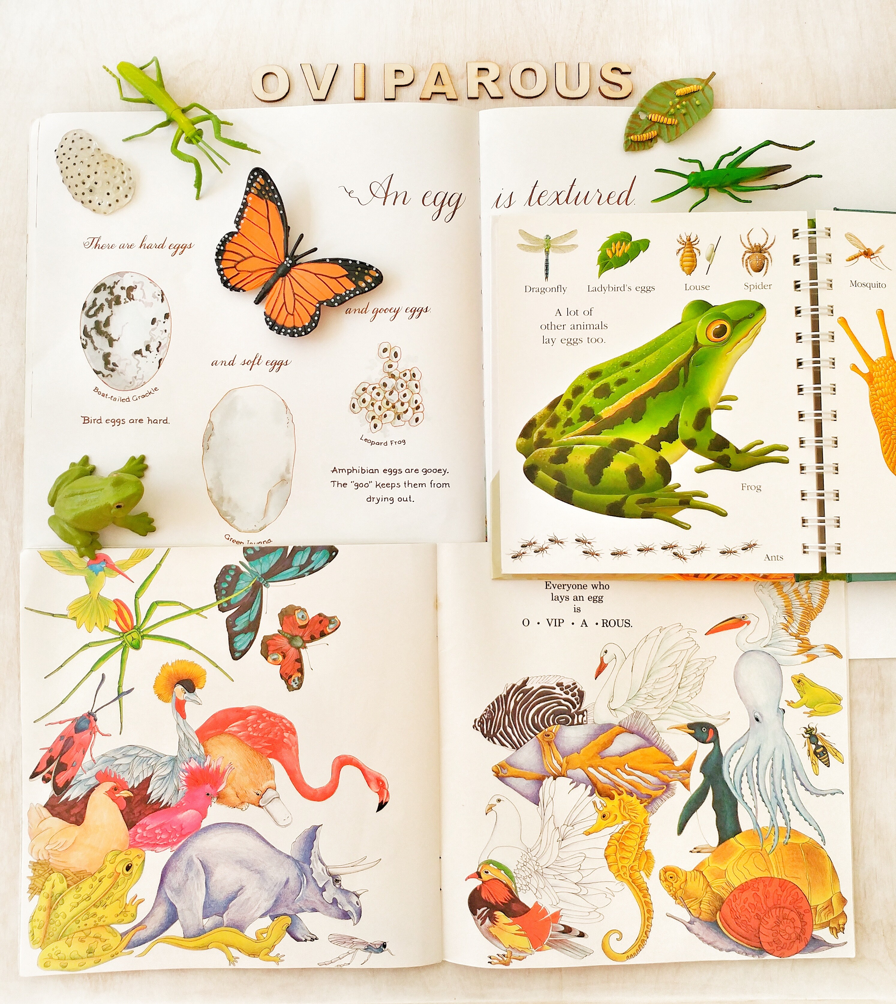 We are sharing our favorite Activities and Crafts to help your kids ...