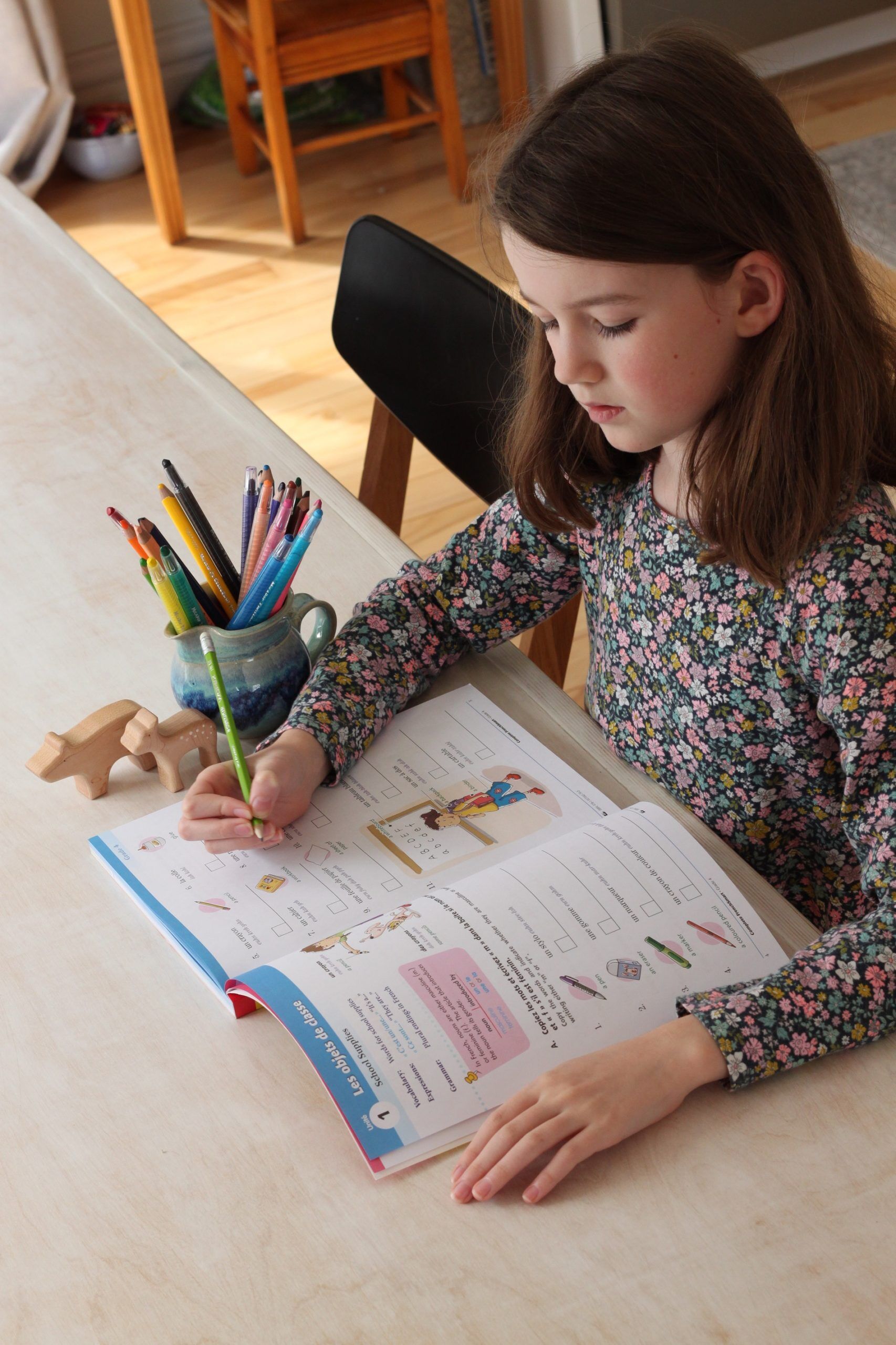 A full review of the French Smart Workbooks by Popular Books for home ...