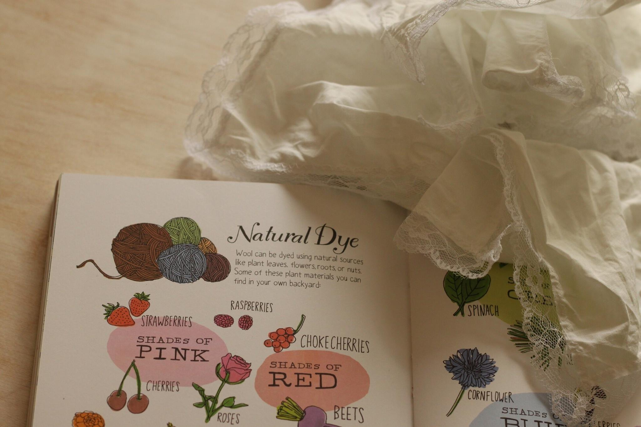natural plant based dyes | Reaching Happy
