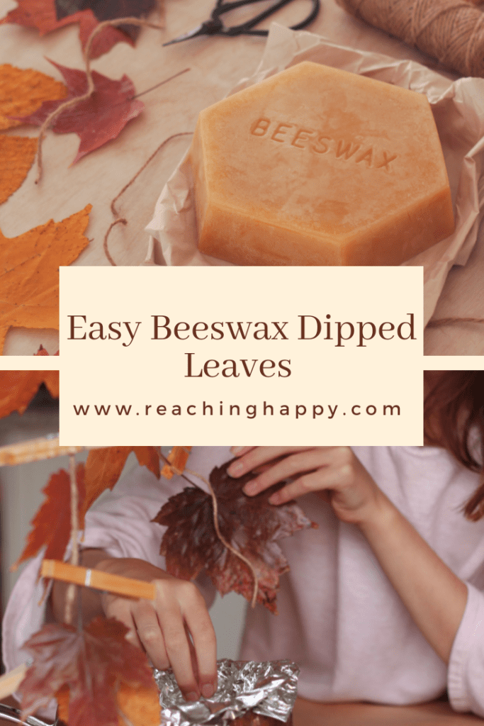 Easy Beeswax Dipped Leaves | Reaching Happy