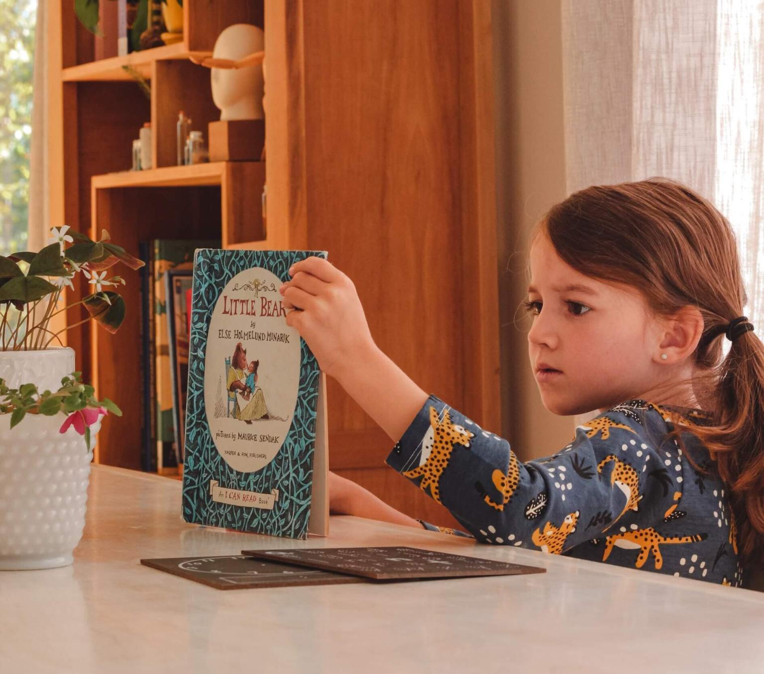 Best Early Reader Books | Reaching Happy