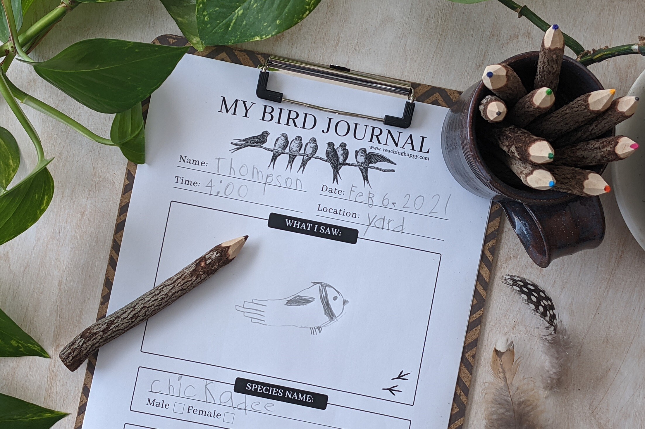 Free Bird Journal Page Printable | Reaching Happy