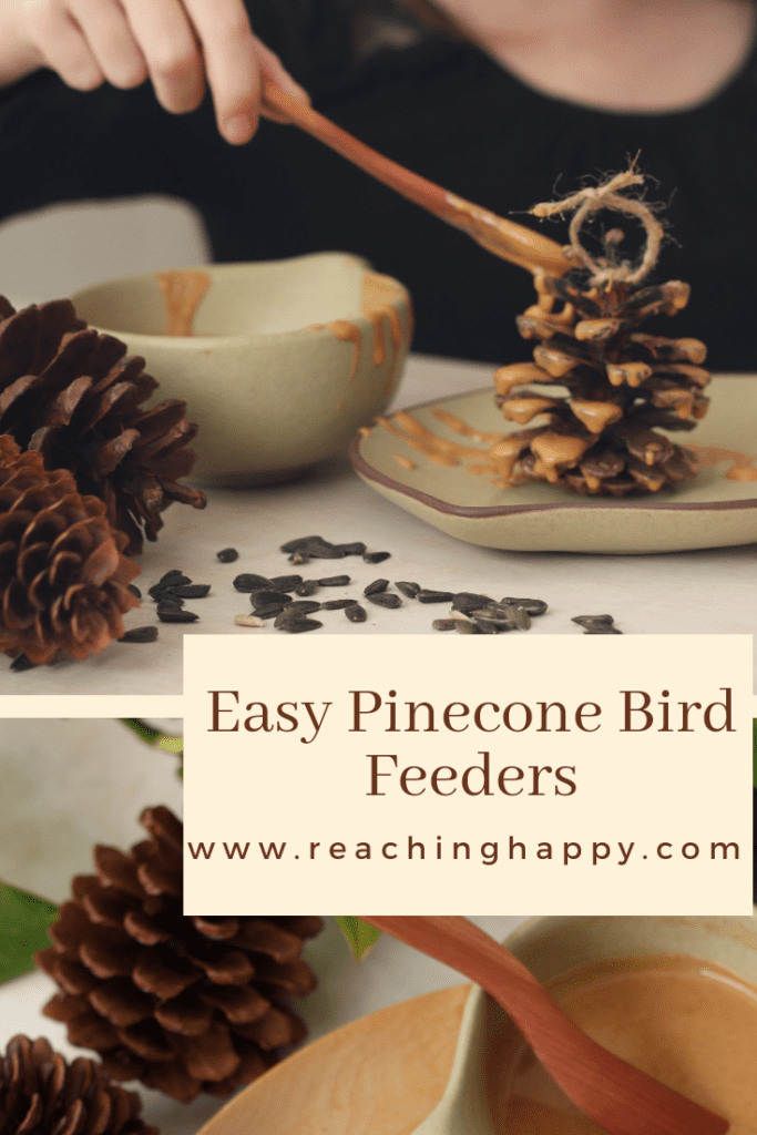 Easy Pinecone Bird Feeder for Kids | Reaching Happy