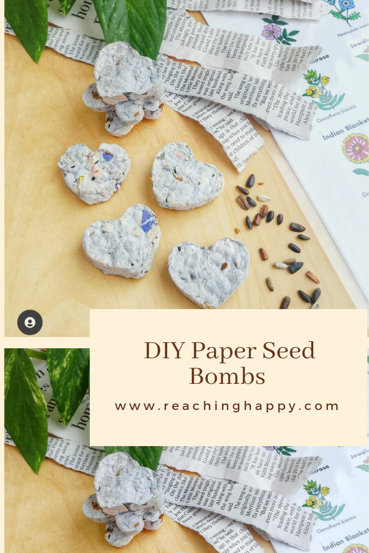 Easy Wildflower Seed Bomb Tutorial | Reaching Happy