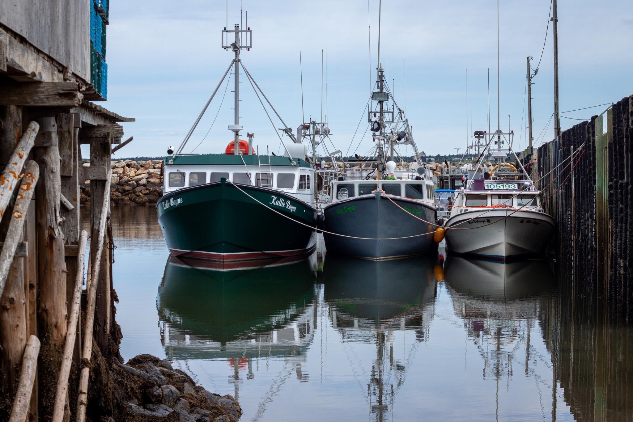 Visiting Clare/St. Mary’s Bay, Nova Scotia | Reaching Happy